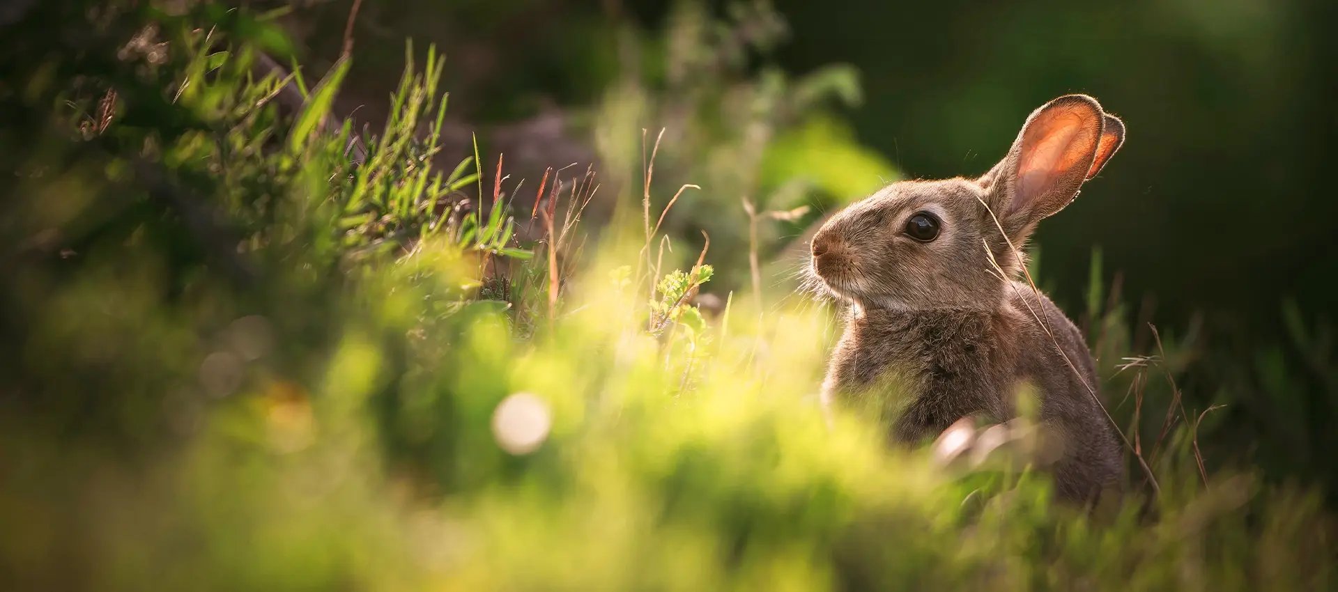 Visionplanner Lente Boost 2025